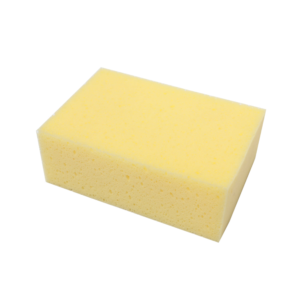 Sponges